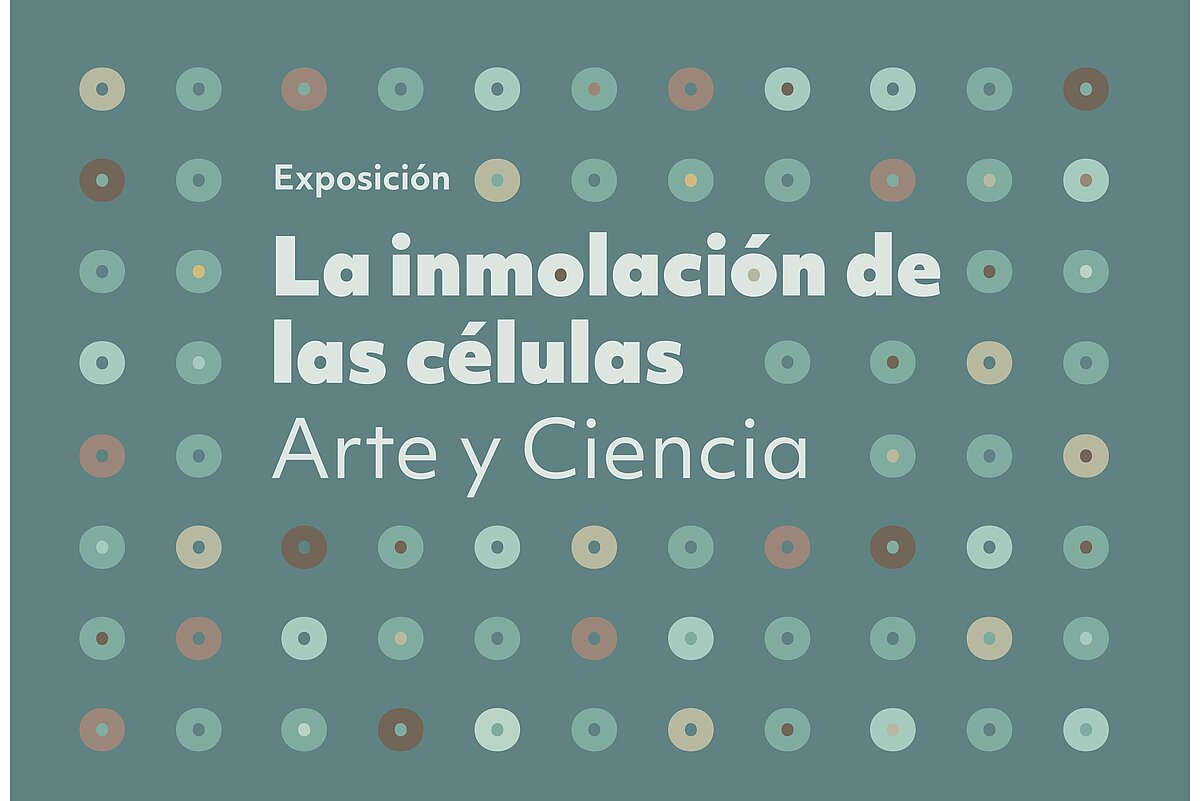 'La inmolación de las células', la exposición que profundiza en la ...