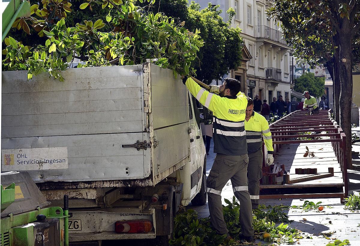 Programación de poda para la semana del 06 al 10 de OCTUBRE del 2025